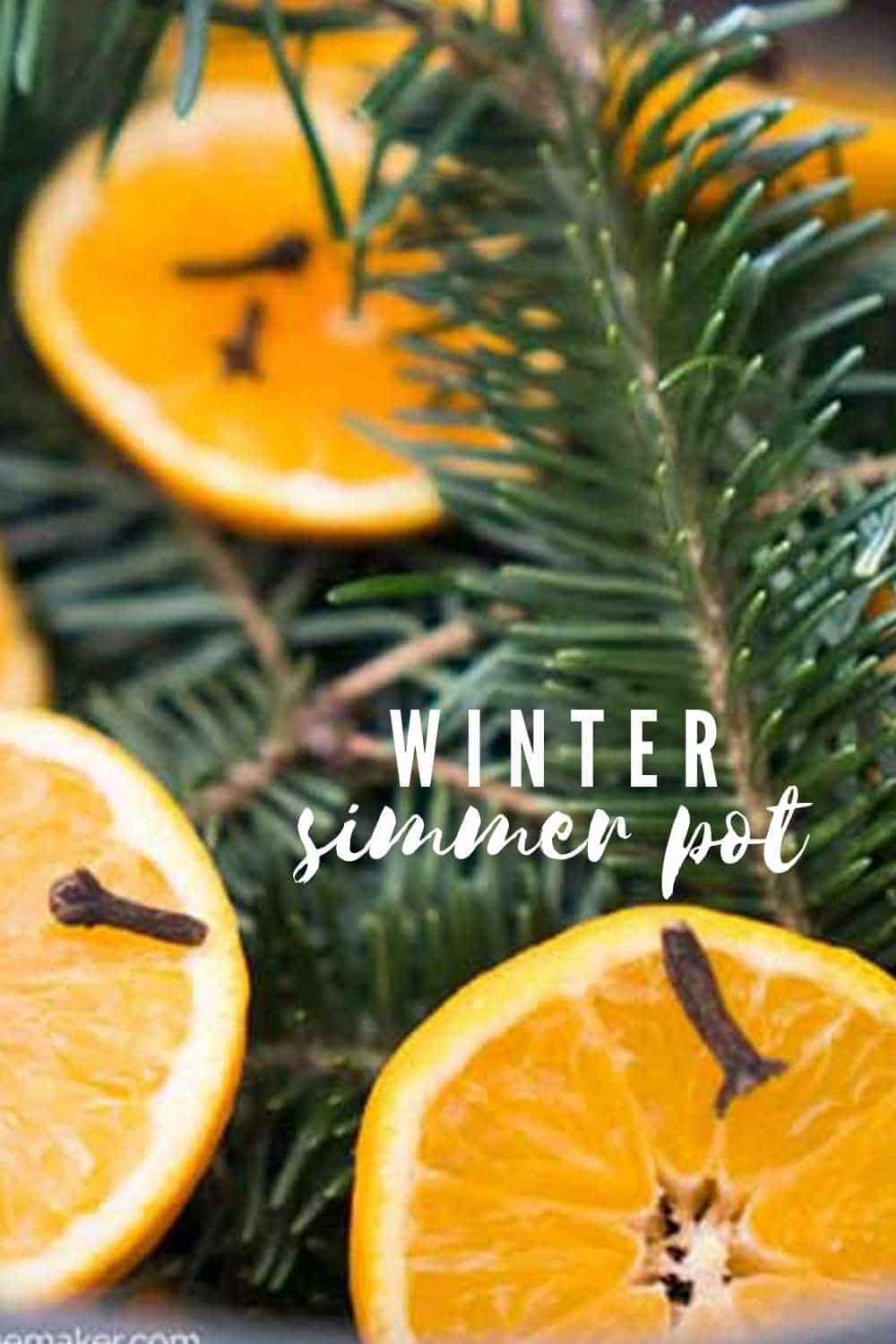 Winter Simmering Pot Recipe - South Georgia Style