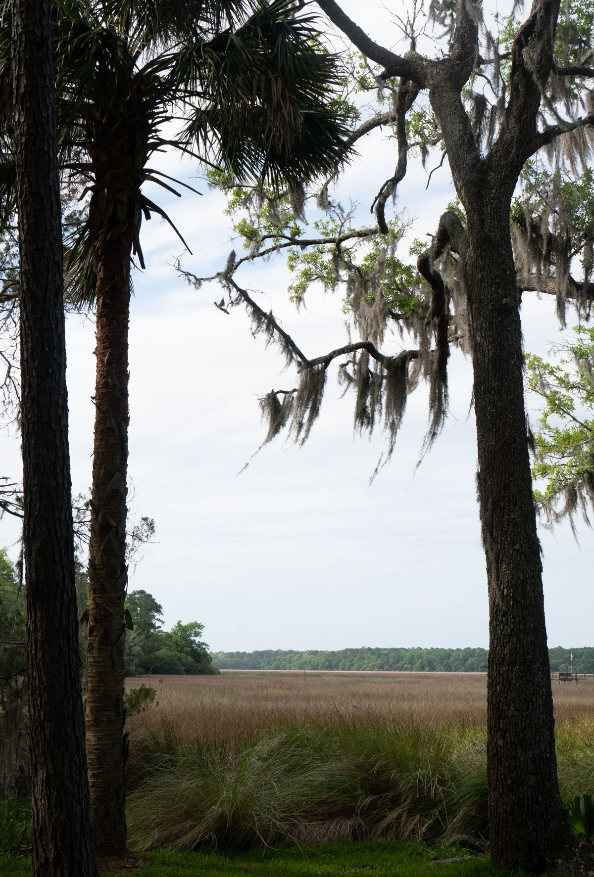 Marsh House Tour - South Georgia Style